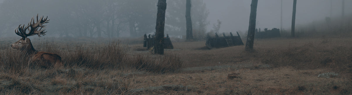 Magical Animals of Norse Mythology – Valhyr